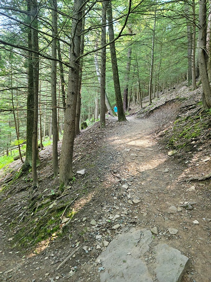 The trail beckons with promises of adventure, whispering "Yes, your legs will complain, but your soul will thank you."