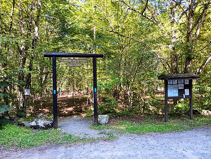 Every great story begins with a threshold to cross. This trail entrance invites you to step into your next chapter of exploration.