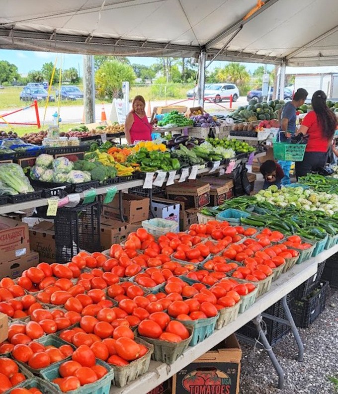 Farm-fresh produce bursting with color creates an edible rainbow, proving the B&A isn't just about collectibles—it feeds both nostalgia and appetites.