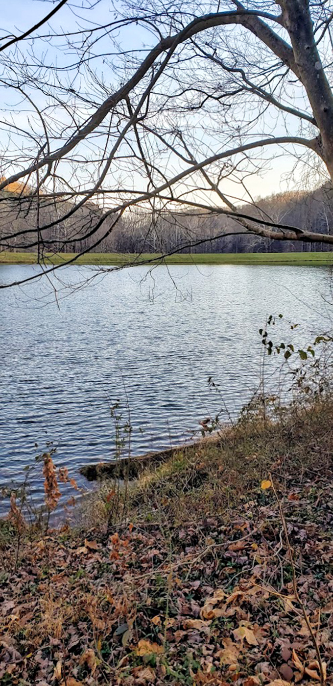 Winter's quiet lakeside reflection. The dormant season reveals Tar Hollow's bones—elegant, austere, and somehow more honest than its showier seasonal personalities. 