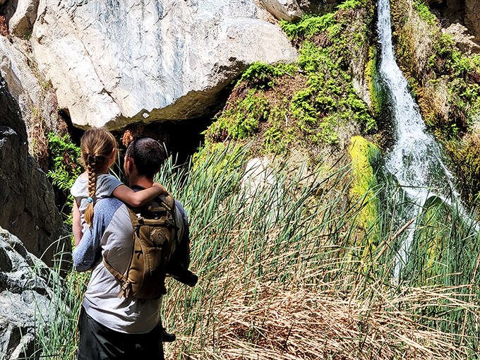 Sharing the wonder of Darwin Falls with family creates memories more lasting than the rocks themselves—though they've got a head start.