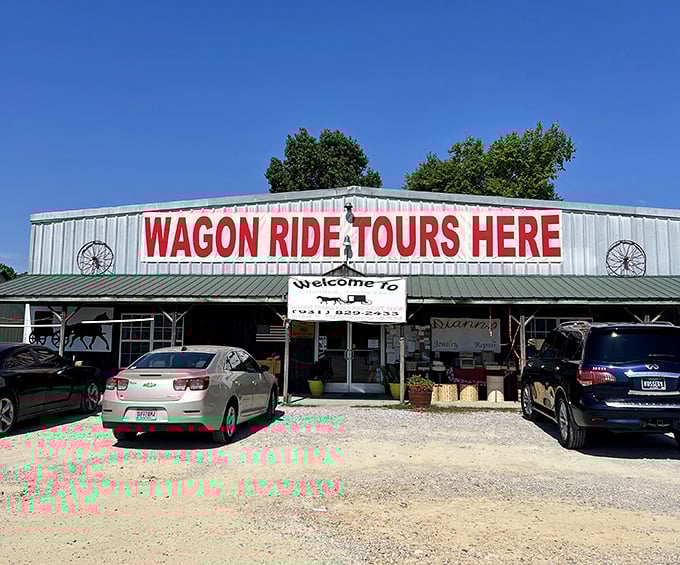 "Wagon Ride Tours Here" promises the authentic Amish country experience—just don't expect your guide to pose for selfies or share their Instagram handle.