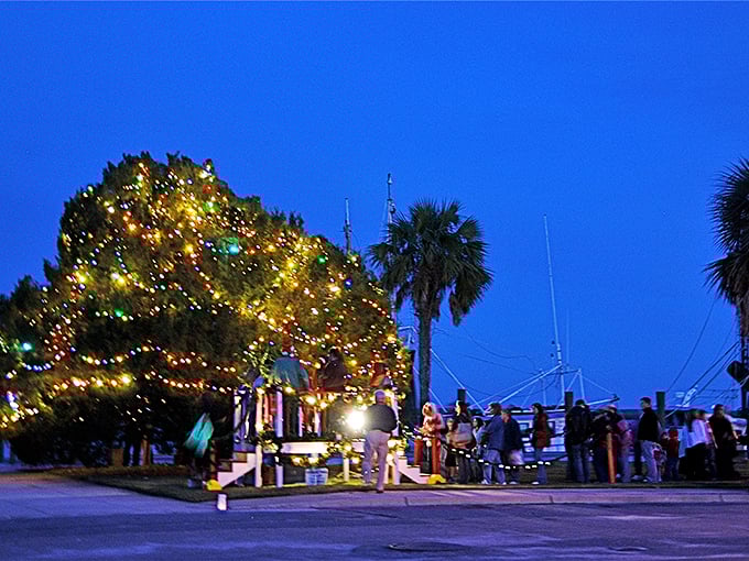 Even in winter, Apalachicola dresses for the holidays with twinkling lights that transform ordinary trees into extraordinary celebrations.