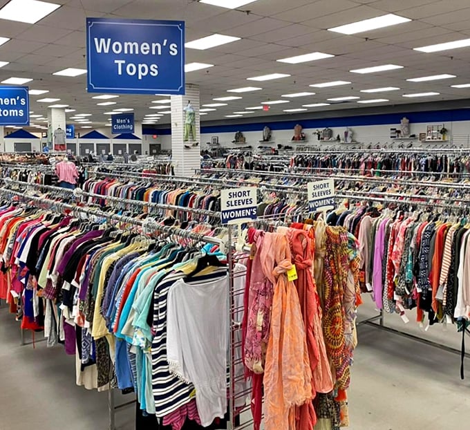 A sea of women's tops stretching to the horizon – organized by sleeve length and color for the serious thrift shopper who means business.