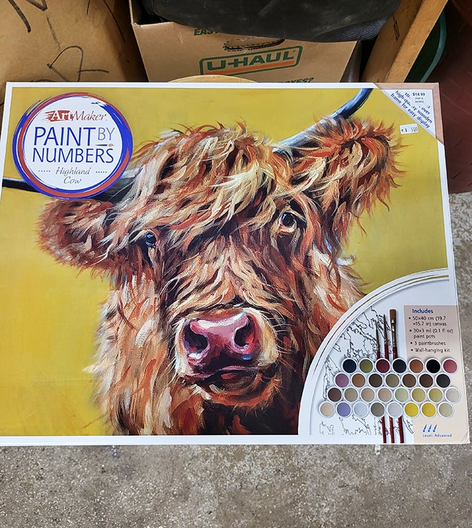 For the aspiring artist who's been putting off that Highland Cow masterpiece. At these prices, your creative excuses have officially expired.