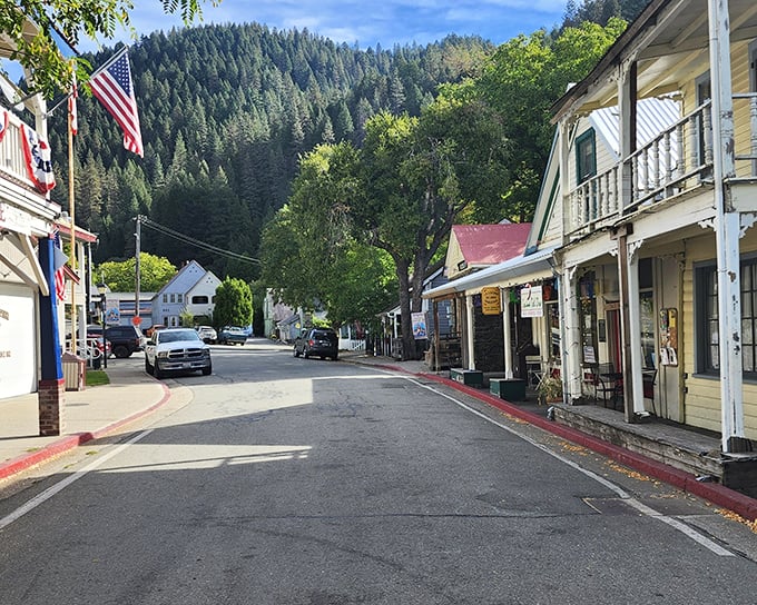 Downieville's main drag isn't just a street – it's an open-air museum where every building tells a story and every porch invites a conversation.