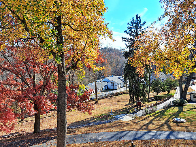 Fall foliage here makes those New England states nervous – Delaware's got some serious autumn game, folks.