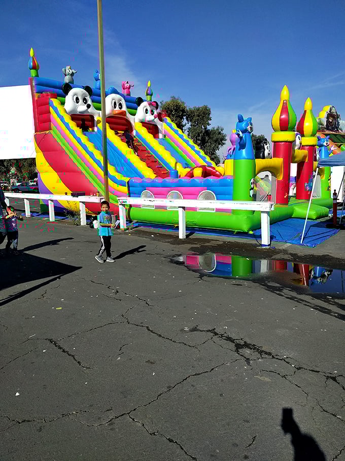 Childhood joy inflated to magnificent proportions! This bouncy castle paradise proves the flea market isn't just for serious collectors.