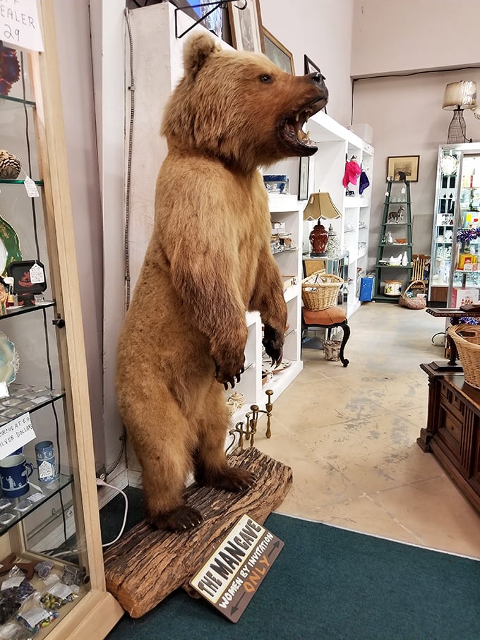 The taxidermy bear that's seen things. He's not just decoration – he's the unofficial greeter and conversation starter for every first-time visitor.