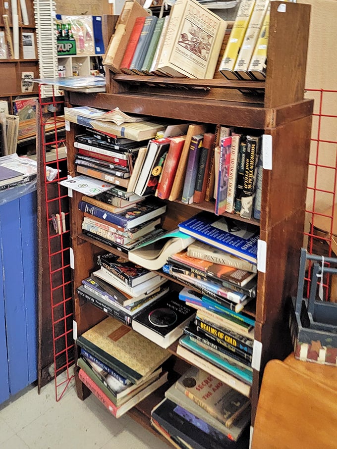 Books stacked with delightful disorder—the literary equivalent of a treasure hunt where you never know what forgotten classic might be hiding between cookbooks and mysteries.