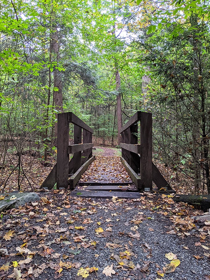 Not all who wander are lost, especially on this charming wooden bridge that practically begs you to practice your troll impression.
