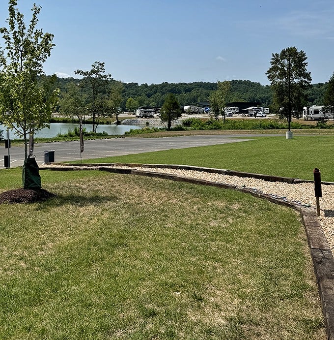 Waterfront camping areas welcome outdoor enthusiasts year-round, offering peaceful retreats where the only notification you'll get is a fish tugging your line.