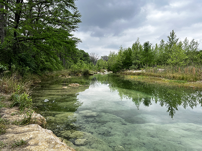 The Frio's emerald waters flow so clear you can count fish without even trying—nature's version of high-definition.