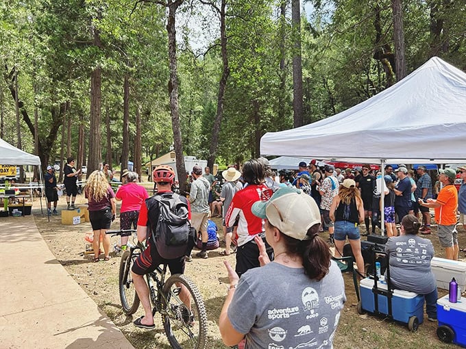 Community events bring together cyclists, hikers, and food enthusiasts under the pines—the outdoor equivalent of a living room gathering, just with better air.