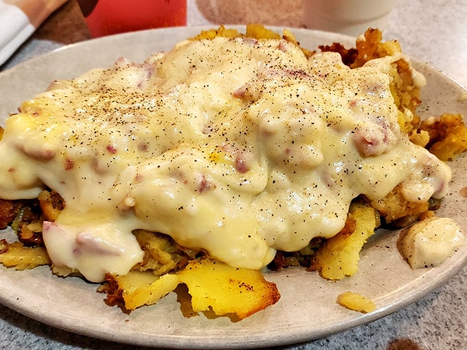 Cream chipped beef smothering home fries—a hearty plate that's been curing hangovers and fueling workdays for generations of Philadelphians.