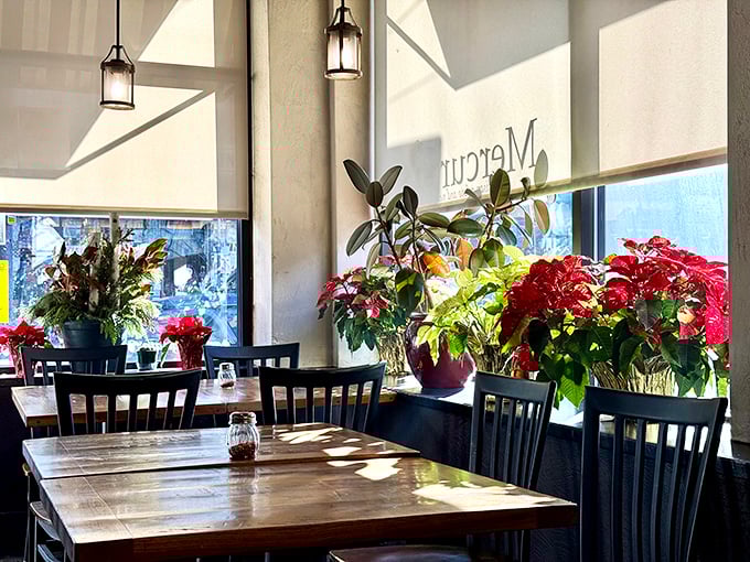 Sunlight streams through windows, illuminating a dining space where memories are made between bites of exceptional pizza.