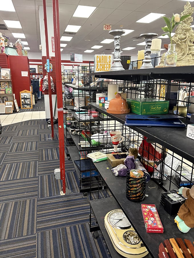 Holiday treasures and everyday finds coexist in organized chaos – proof that one shopper's "why?" is another's "why not?"