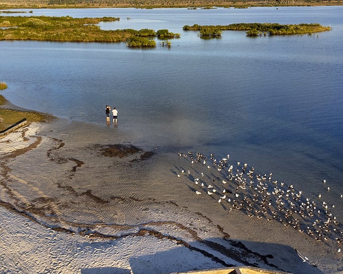 Where land meets water, Pine Island creates magical moments – like these visitors communing with a gathering of curious shorebirds.