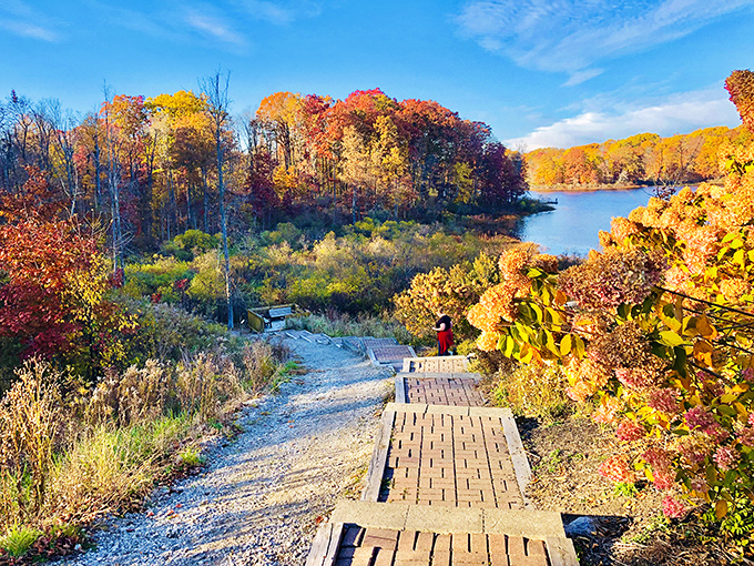 Autumn explodes in technicolor glory along this boardwalk – Mother Nature showing off her seasonal wardrobe change in spectacular fashion.