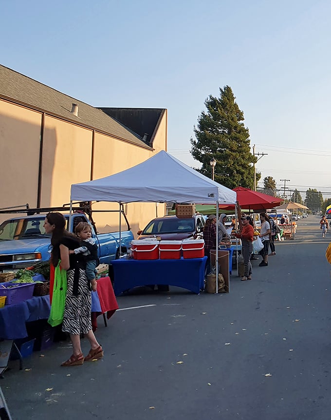 The farmers market transforms Fortuna's streets into a community living room where produce isn't just fresh—it's practically introduced by name.