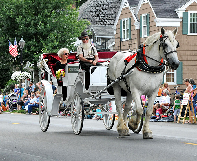 Parade day in Middlebury: where a horse-drawn carriage isn't a tourist attraction—it's just Tuesday's commute dressed up for special occasions.