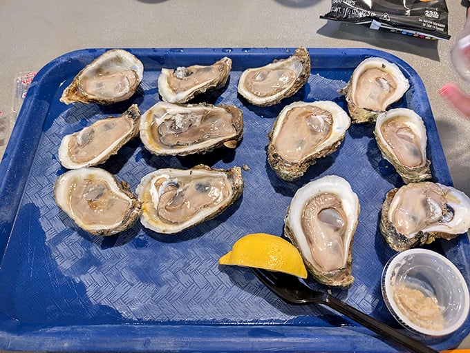 Raw oysters on a blue tray – glistening like jewels with a squeeze of lemon standing by, ready to perform its citrusy magic.