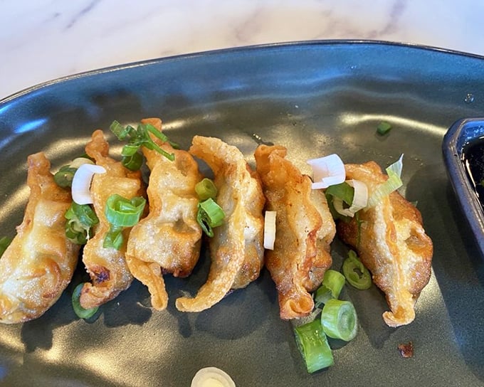 These dumplings aren't just fried—they're transformed into crispy little pouches of joy that disappear faster than your willpower.