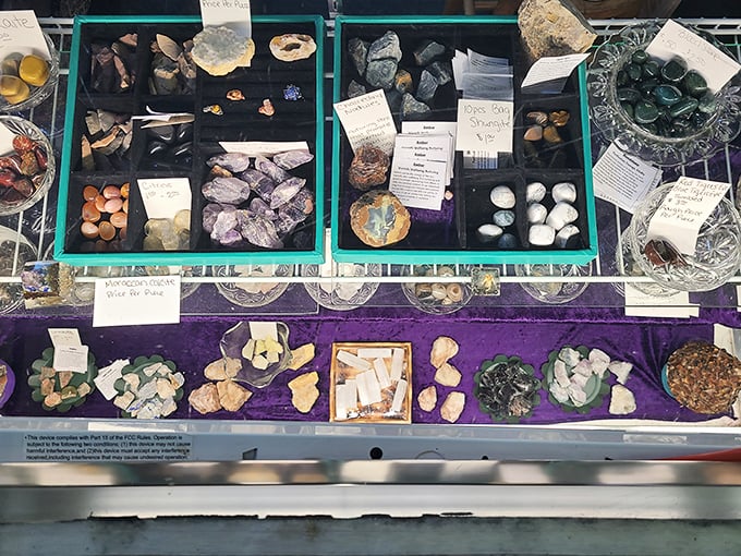 Nature's jewelry box spills open, offering crystals and geodes that somehow feel both ancient and perfectly suited for your modern bookshelf.