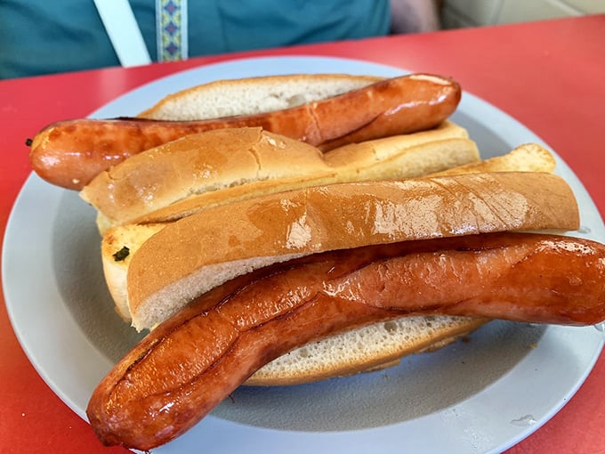 Hot dogs nestled in pillowy buns – simple pleasure done right, the kind of straightforward deliciousness that needs no explanation or fancy toppings.