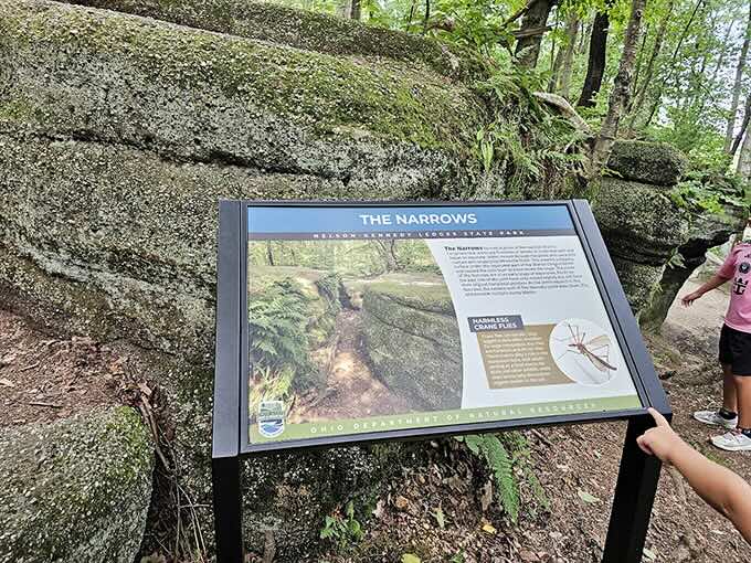 "The Narrows" – where claustrophobia meets wonder. This informative sign explains what you're seeing, while your eyes struggle to believe it.