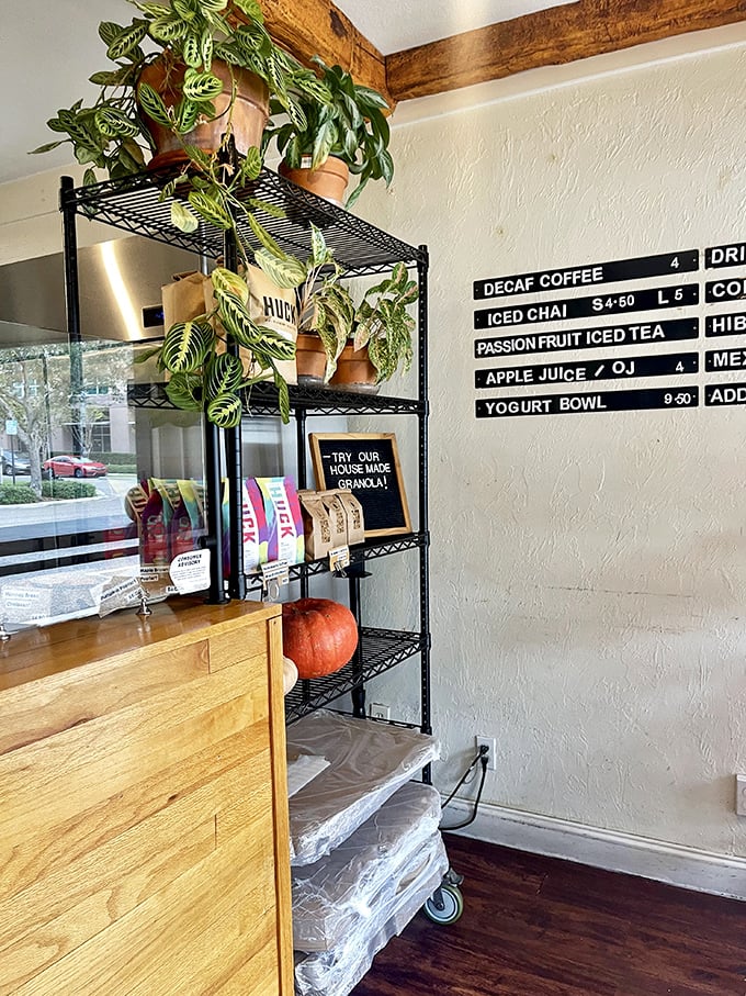 Plants and menu boards create an atmosphere where healthy living meets indulgent eating without any guilt.