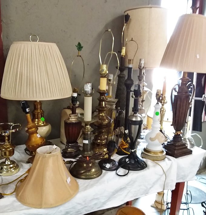 The lamp section glows with potential, offering lighting solutions that range from vintage elegant to delightfully kitsch, all at prices that won't dim your wallet.