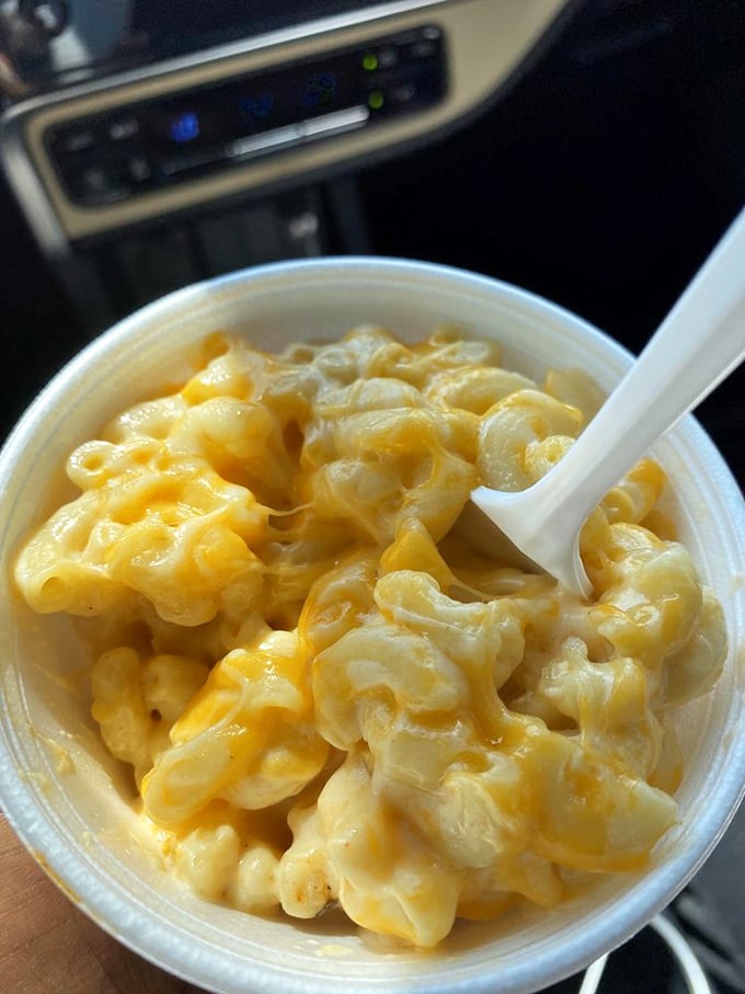Mac and cheese so creamy it should be classified as a comfort food superpower—spoon-licking guaranteed.