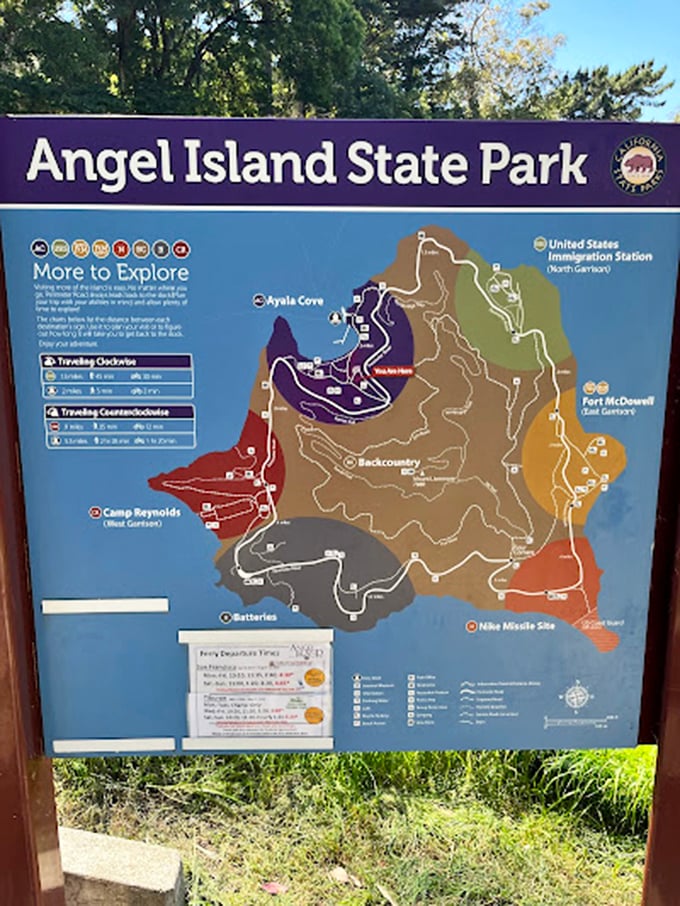 The island map reveals a wonderland of possibilities – like a treasure map where X marks several spots, all worth discovering.