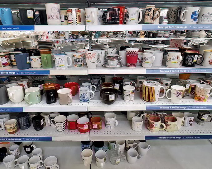 Mug collectors, brace yourselves. This caffeinated corner offers everything from corporate swag to handcrafted pottery—each with stories to tell.