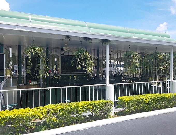 The covered porch seating area offers a Florida twist on diner culture—all the classic food with a side of sunshine and swaying plants.