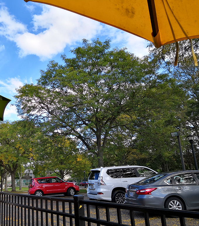 The outdoor view showcases leafy surroundings – nature's perfect backdrop for post-breakfast digestion contemplation.