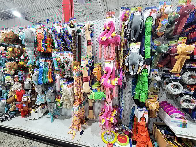 Pet toy heaven – where flamingos meet monkeys and squeaky alligators. Your dog doesn't know these cost a fraction of pet store prices, and we'll never tell.