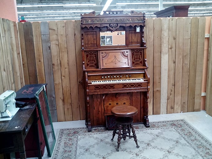 This isn't just a vintage pump organ—it's an invitation to channel your inner phantom of the opera while your spouse pretends not to know you.