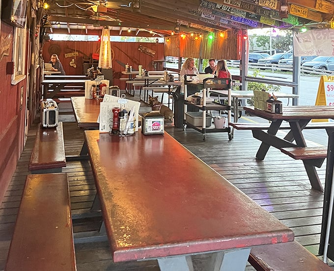 Weathered picnic tables under string lights offer the perfect setting for conversations that stretch long into evening.