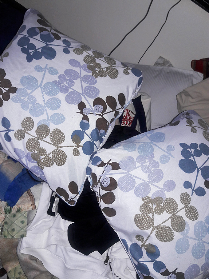 Designer throw pillows at bargain basement prices. These blue and gray beauties could grace a Pottery Barn catalog but cost less than a fancy coffee.