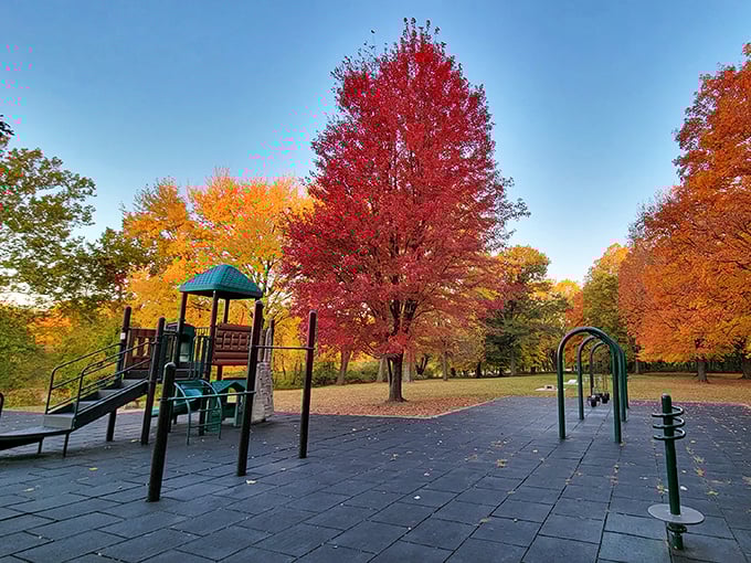 Playground equipment surrounded by nature's own entertainment system – tough competition for manufactured fun.