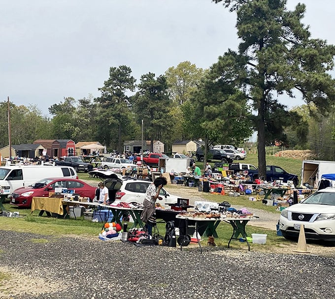 Weekend warriors unite! The sprawling outdoor section transforms ordinary parking into an extraordinary bazaar where one person's excess becomes another's essential.