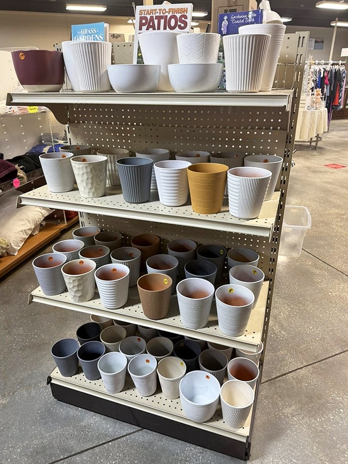 Garden dreams start here with rows of planters in every shape and size—perfect for Florida patios and sunrooms year-round.
