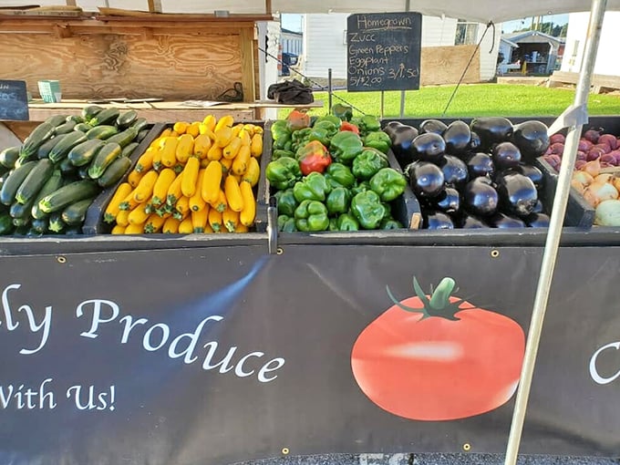 Farm-fresh vegetables arranged with military precision. These aren't just eggplants and peppers—they're tomorrow's dinner showing off today.