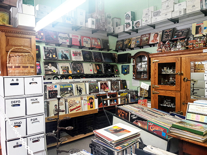 Vinyl paradise for record collectors. Those alphabetized bins contain time machines disguised as 12-inch discs of pure nostalgia.