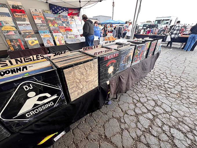Vinyl records lined up like soldiers of sound, waiting to march into your living room. Analog treasures in a digital desert.