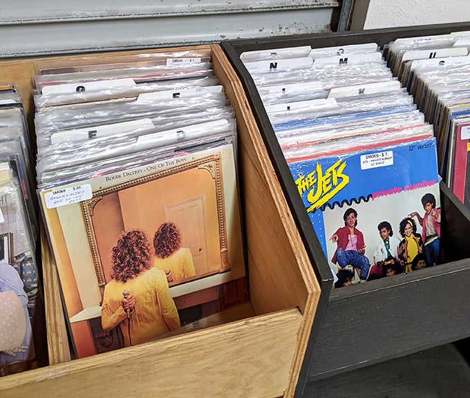 Vinyl records filed with care—because some music deserves better than being reduced to a digital file on your phone.