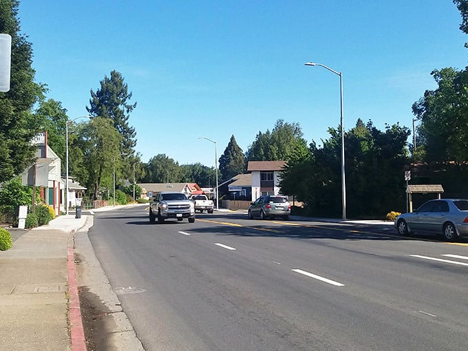 Wide lanes, minimal traffic, and tree-lined horizons make driving in Willits feel like you've discovered a secret California that time forgot.