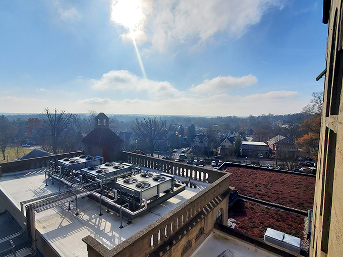 The view from the Mercer's rooftop offers a perspective on Doylestown that few get to experience—unless you're a very historically-minded pigeon.